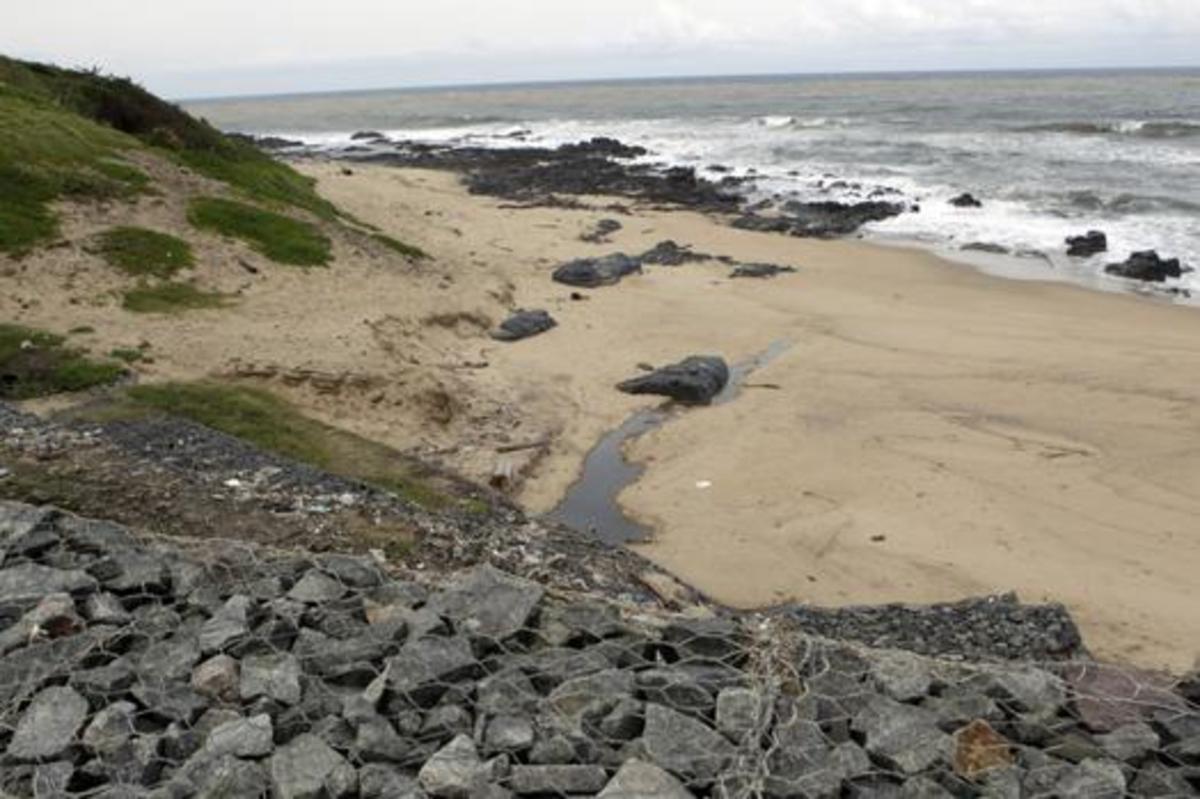 KwaZulu Natal toxic fishing danger - Video360Video360